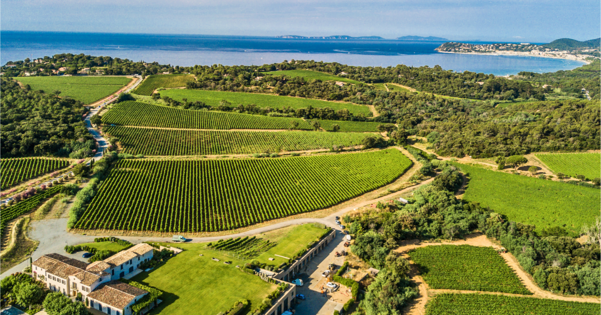 Vignobles et Découvertes : Un Label prestigieux pour nos partenaires ...
