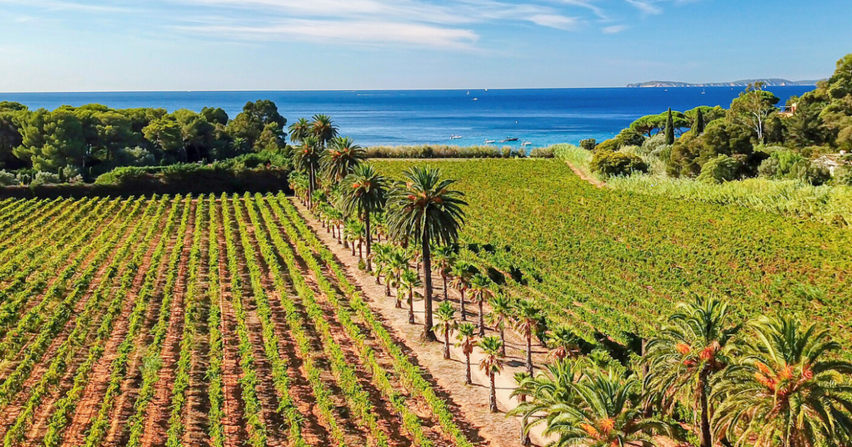 Vignobles et Découvertes : Un Label prestigieux pour nos partenaires ...