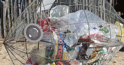 Un poisson-glouton sur le sable du Débarquement - La Croix Valmer